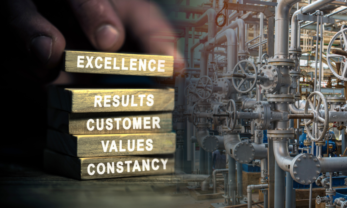 VISION, MISSION, CORE VALUES & OBJECTIVES – PLECO